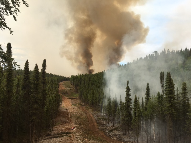Firing Operations Continue On Swan Lake Fire As More Crews Arrive Radio Kenai